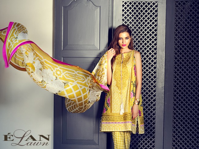 COMPLETE GUIDE TO ELAN LAWN 2015